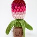 Crochet Fancy Hyacinth ,finished Crochet Hyacinth , Handmade Knitted ...