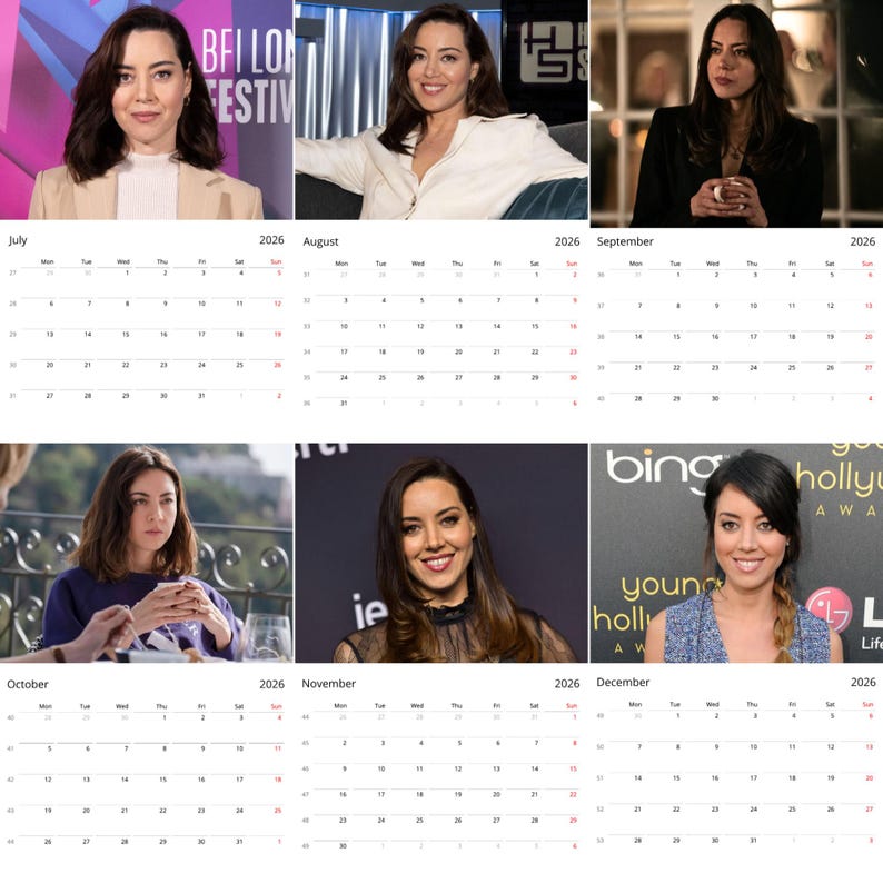 Aubrey Plaza 2026 Wall Calendar (large Calendar) – Celebrity Fan Gift ...
