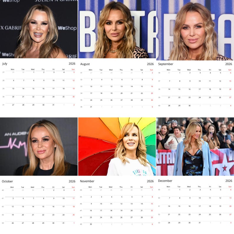Amanda Holdenamanda Holden 2026 Wall Calendar (large Calendar ...