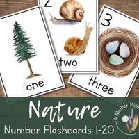 40 Spring Flashcards | Color Flashcards | Counting Flashcards | Nature ...