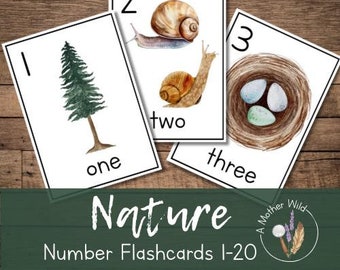 Printable Watercolor Nature Number Cards 1-10 | Preschool Printables ...