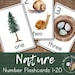 Nature Color Cards, Preschool Montessori Printable, Homeschool Nature ...