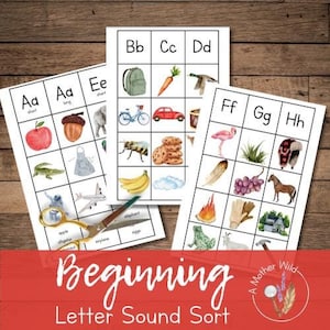 Beginning Letter Sound Sort, Initial Sound Matching Activity ...