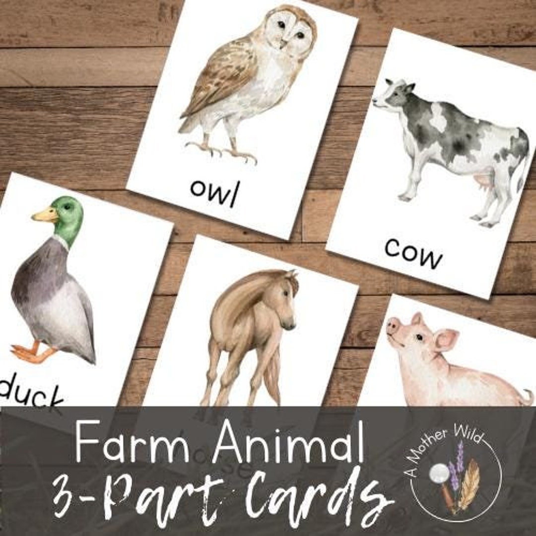 Farm Animal Nomenclature 3-part Cards, Montessori Resource, Homeschool ...