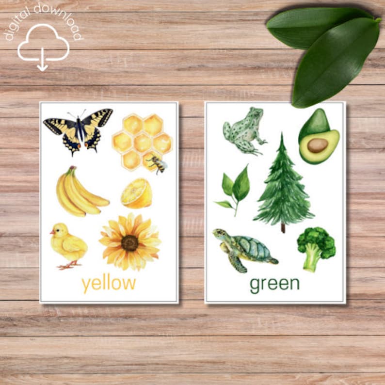 Nature Color Cards, Preschool Montessori Printable, Homeschool Nature ...