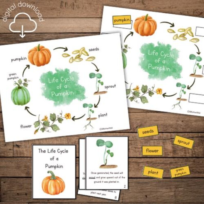 Pumpkin Unit Mini Study, Fall Autumn Activities, Charlotte Mason ...