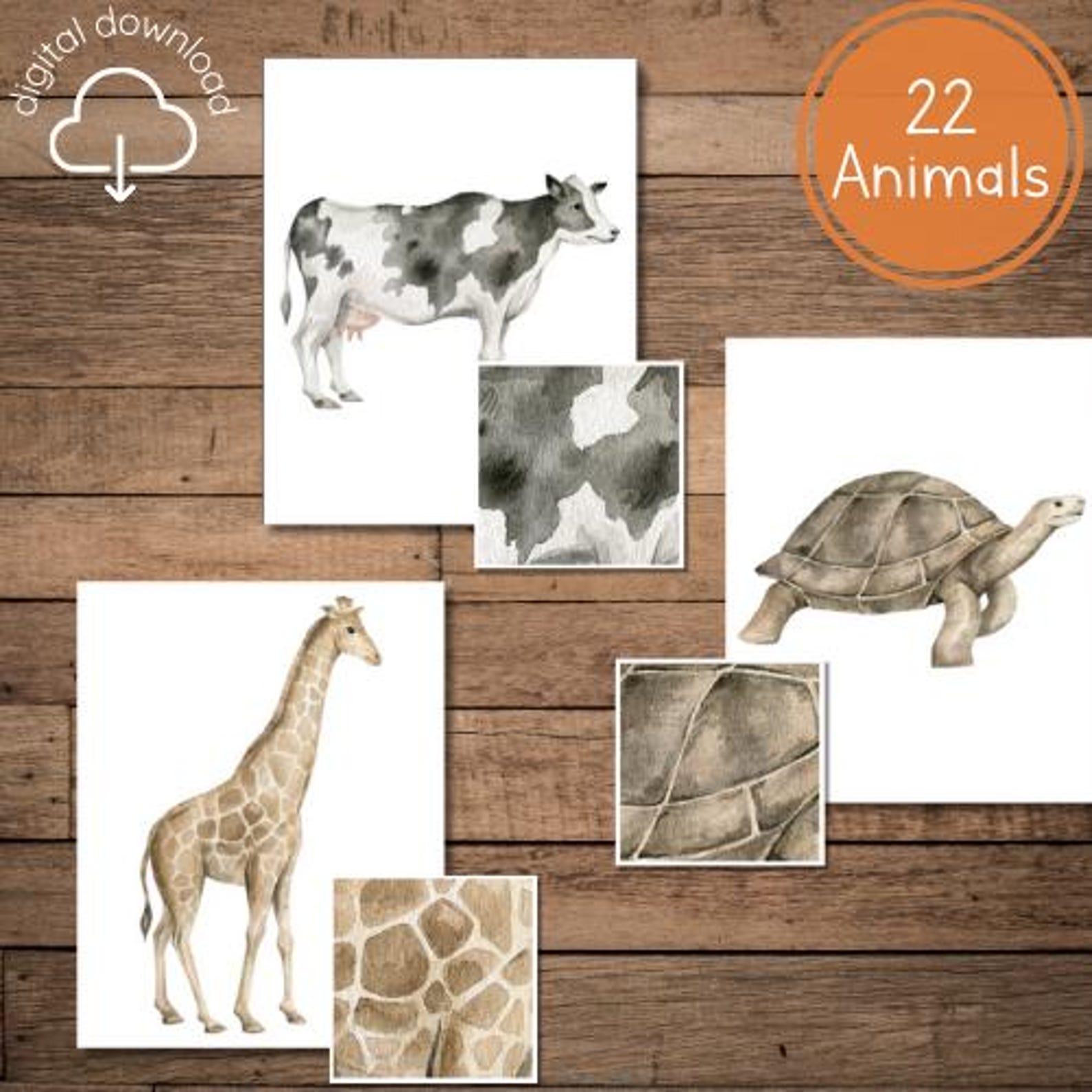 Animal Pattern Matching Activity, Toddler Preschool Nature Study ...