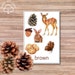 Nature Color Cards, Preschool Montessori Printable, Homeschool Nature ...