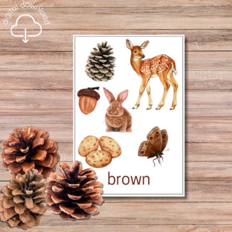 Nature Color Cards, Preschool Montessori Printable, Homeschool Nature ...
