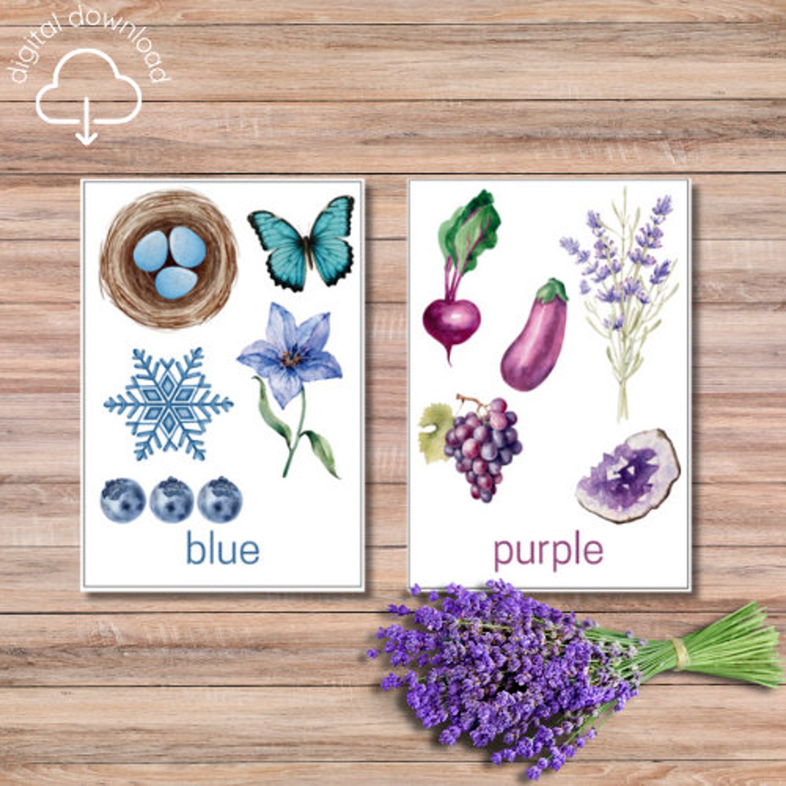 Nature Color Cards, Preschool Montessori Printable, Homeschool Nature ...