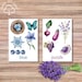 Nature Color Cards, Preschool Montessori Printable, Homeschool Nature ...