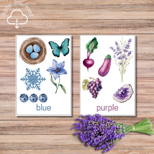 Nature Color Cards, Preschool Montessori Printable, Homeschool Nature ...