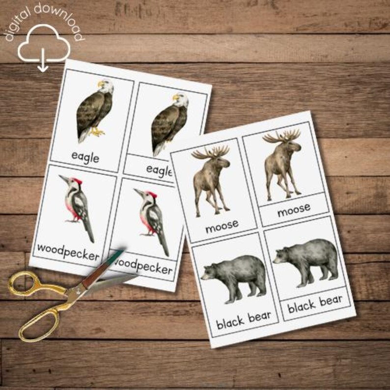 Woodland Animal Nomenclature Cards, Preschool Toddler 3-part Cards ...