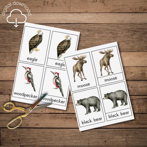 Woodland Animal Nomenclature Cards, Preschool Toddler 3-part Cards ...