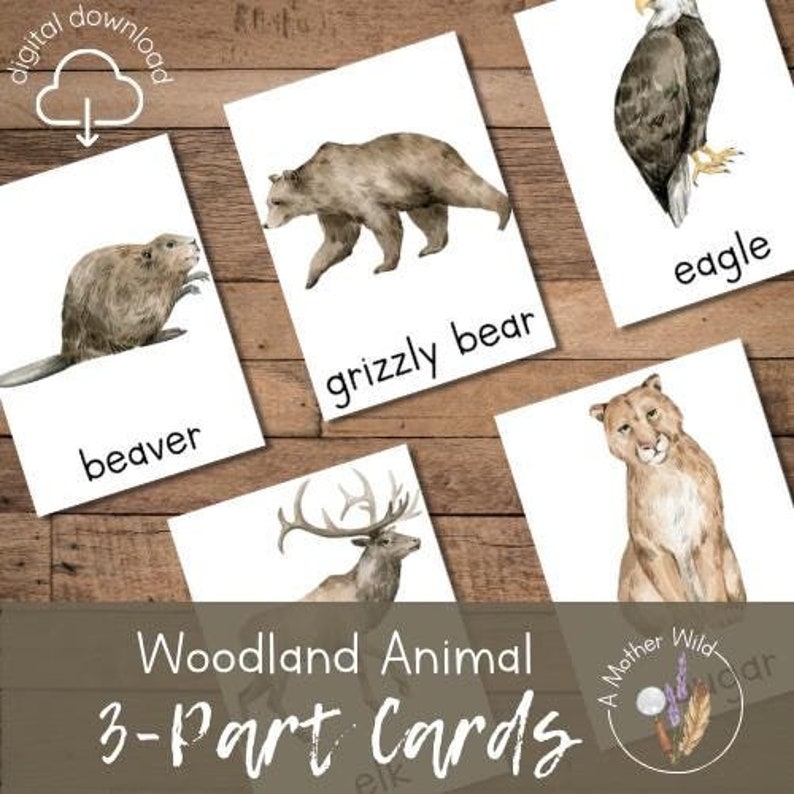 Woodland Animal Nomenclature Cards, Preschool Toddler 3-part Cards ...