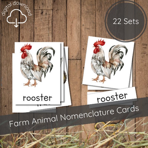 Farm Animal Nomenclature 3-part Cards, Montessori Resource, Homeschool ...