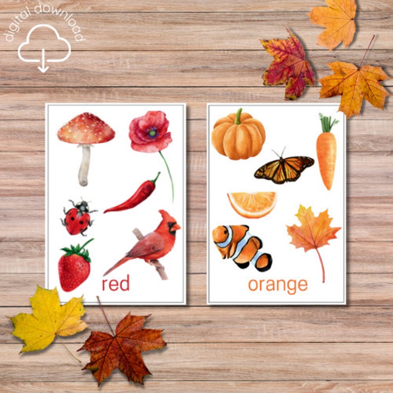 Nature Color Cards, Preschool Montessori Printable, Homeschool Nature ...
