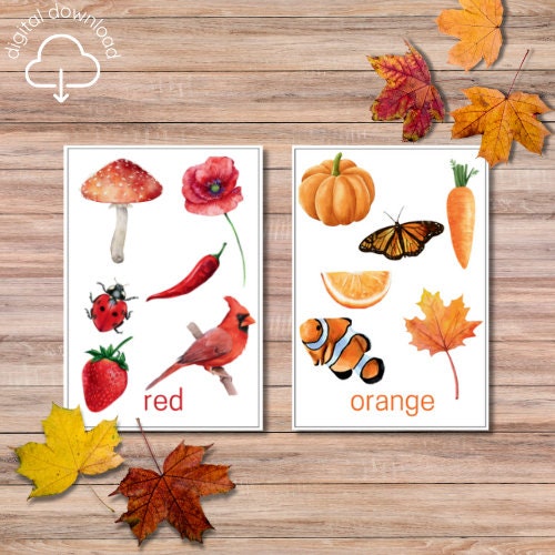 Nature Color Cards, Preschool Montessori Printable, Homeschool Nature ...