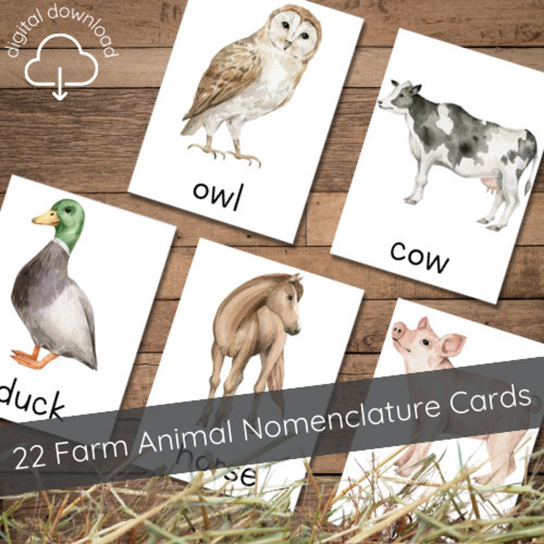 Farm Animal Nomenclature 3-part Cards, Montessori Resource, Homeschool ...