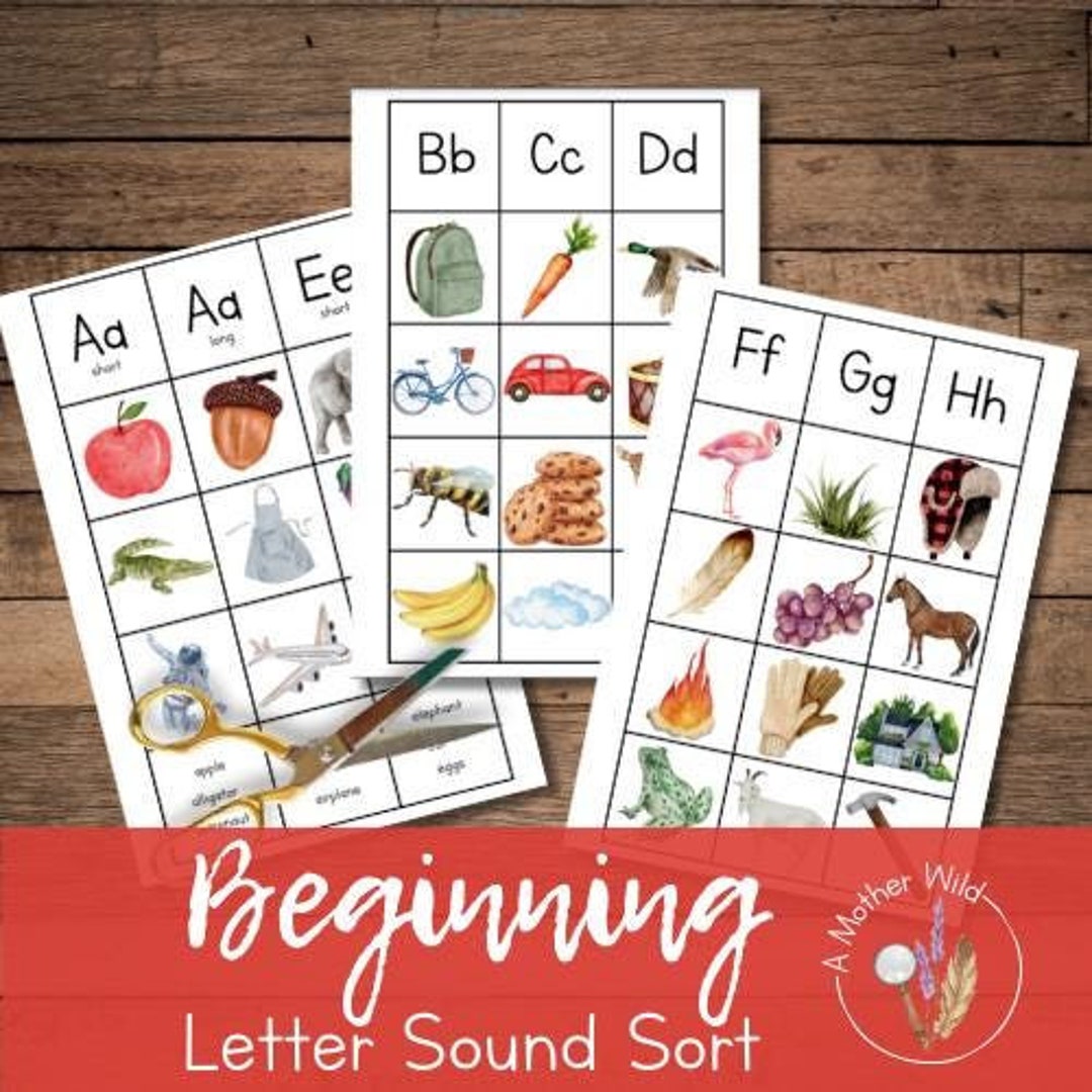 Beginning Letter Sound Sort, Initial Sound Matching Activity ...