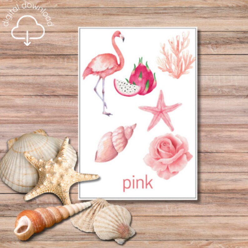 Nature Color Cards, Preschool Montessori Printable, Homeschool Nature ...