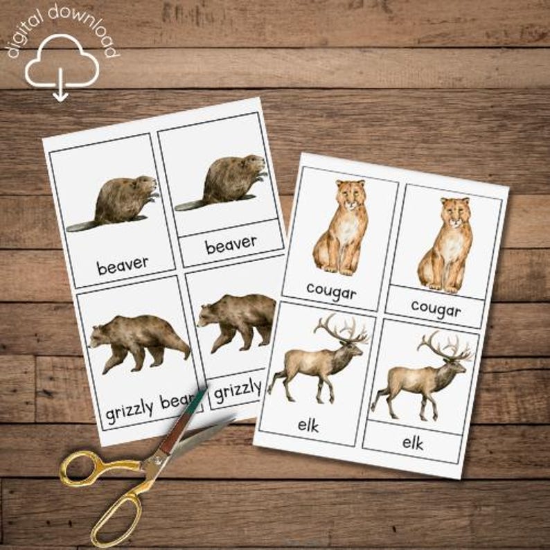 Woodland Animal Nomenclature Cards, Preschool Toddler 3-part Cards ...