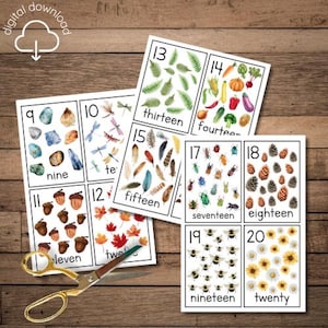 Nature Themed Number Flashcards 1-20, Homeschool Montessori Printable ...