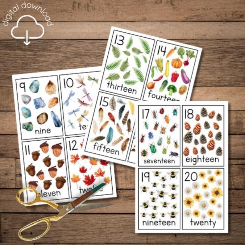 Nature Themed Number Flashcards 1-20, Homeschool Montessori Printable ...
