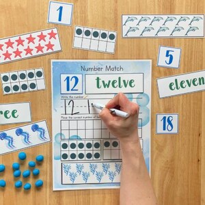 Ocean Themed Number Match Activity, 1-20, Counting Practice, Preschool ...