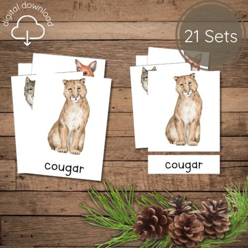 Woodland Animal Nomenclature Cards, Preschool Toddler 3-part Cards ...