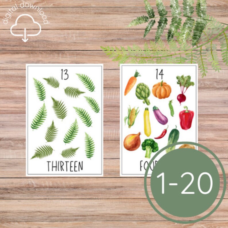 Nature Themed Number Flashcards 1-20, Homeschool Montessori Printable ...