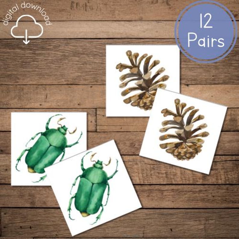 Nature Themed Memory Game, Preschool Toddler Matching Activity ...