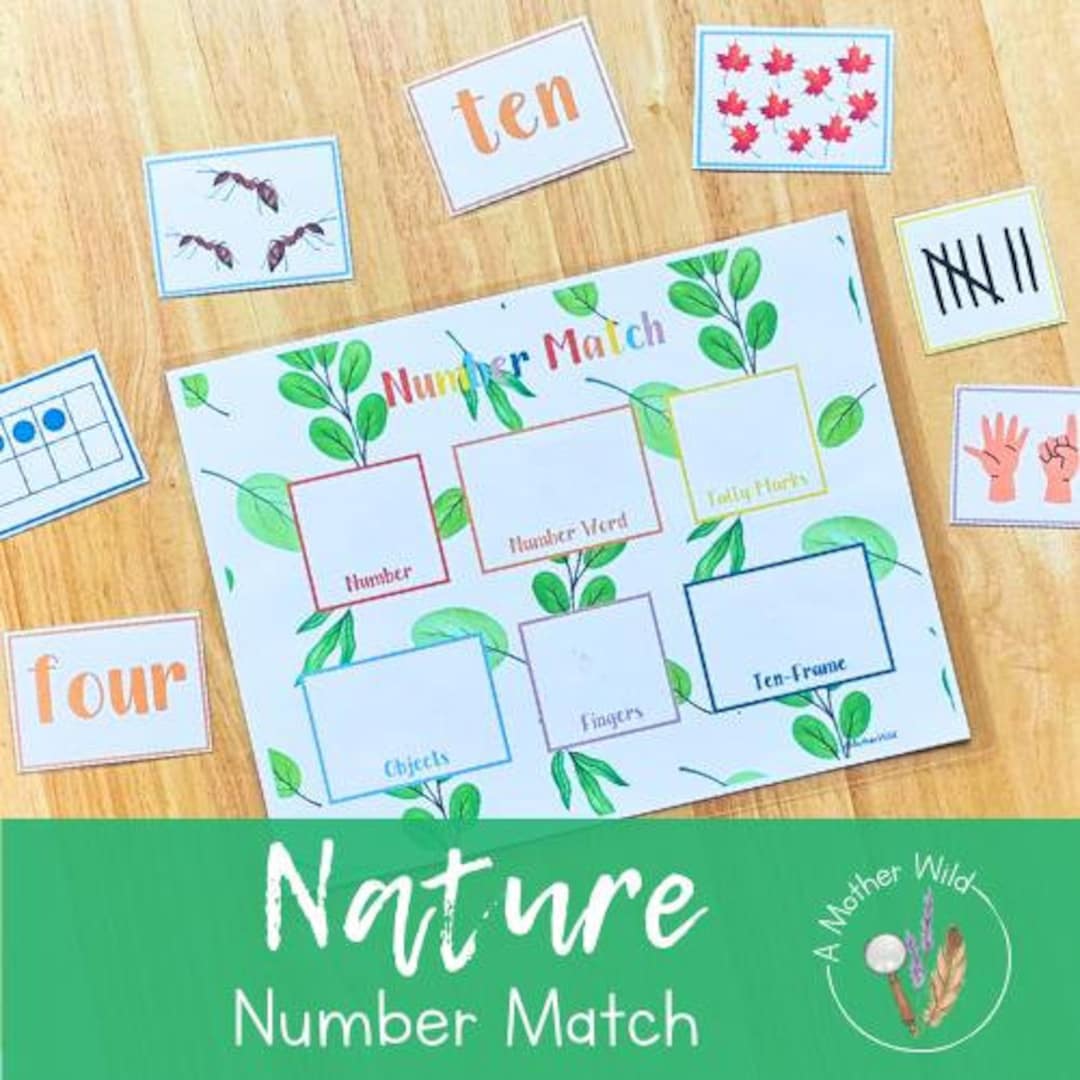 Nature Number Match Math Activity, 1-10 Counting Practice, Toddler ...
