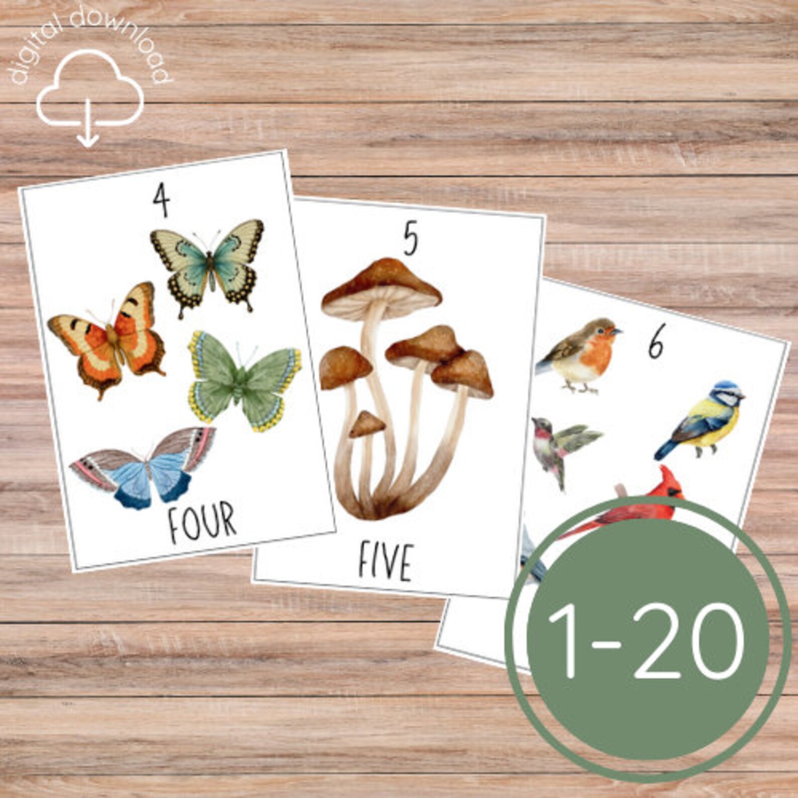 Nature Themed Number Flashcards 1-20, Homeschool Montessori Printable ...