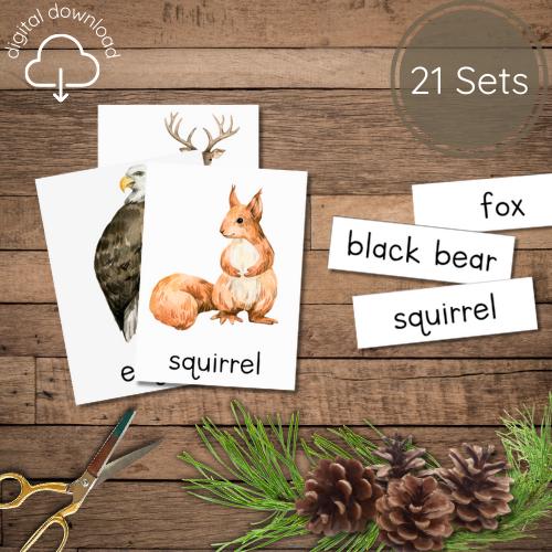 Woodland Animal Nomenclature Cards, Preschool Toddler 3-part Cards ...