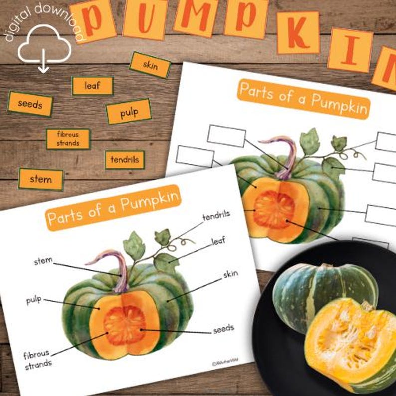 Pumpkin Unit Mini Study, Fall Autumn Activities, Charlotte Mason ...
