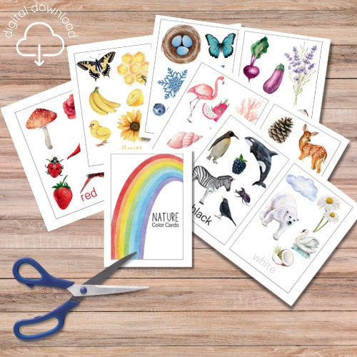 Nature Color Cards, Preschool Montessori Printable, Homeschool Nature ...