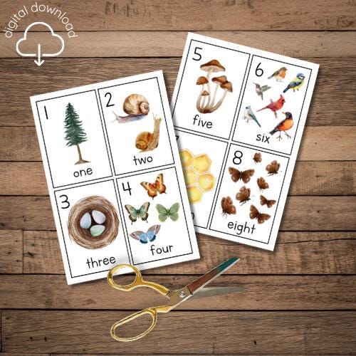 Nature Themed Number Flashcards 1-20, Homeschool Montessori Printable ...