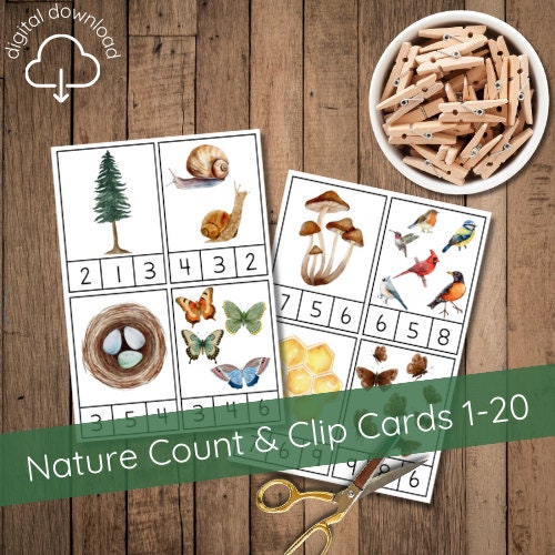 Nature Themed Count and Clip Cards, Numbers 1-20, Homeschool Montessori ...