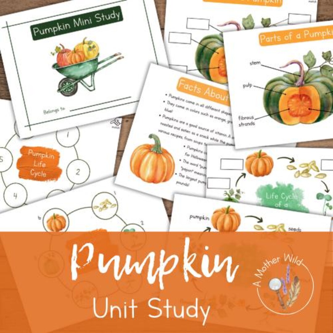 Pumpkin Unit Mini Study, Fall Autumn Activities, Charlotte Mason ...