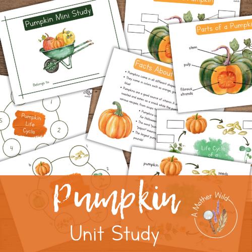 Pumpkin Unit Mini Study, Fall Autumn Activities, Charlotte Mason ...