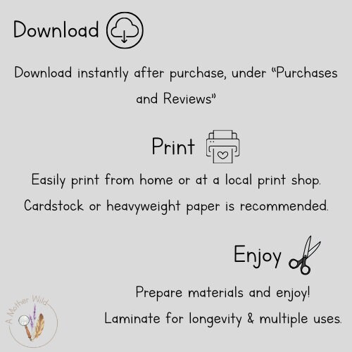 Ocean Themed Number Match Activity, 1-20, Counting Practice, Preschool ...