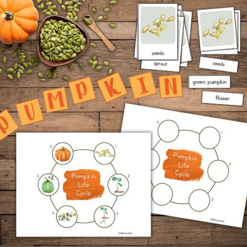 Pumpkin Unit Mini Study, Fall Autumn Activities, Charlotte Mason ...