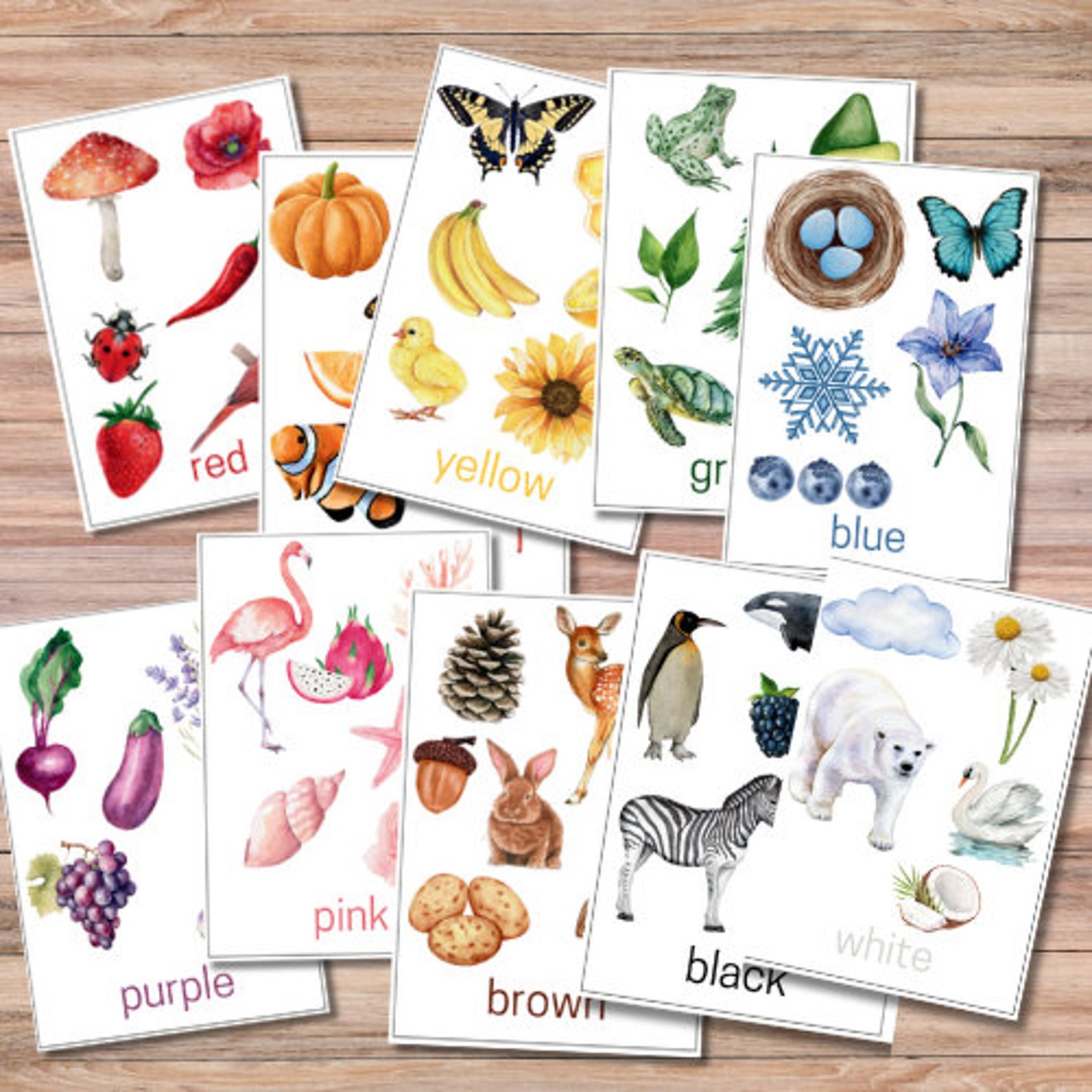 Nature Color Cards, Preschool Montessori Printable, Homeschool Nature ...