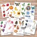 Nature Color Cards, Preschool Montessori Printable, Homeschool Nature ...