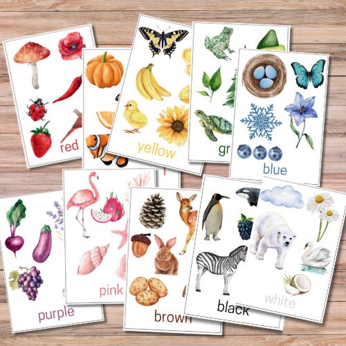 Nature Color Cards, Preschool Montessori Printable, Homeschool Nature ...