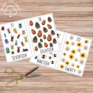 Nature Themed Number Flashcards 1-20, Homeschool Montessori Printable ...