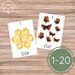 Nature Themed Number Flashcards 1-20, Homeschool Montessori Printable ...