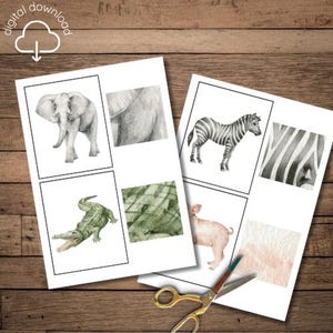 Animal Pattern Matching Activity, Toddler Preschool Nature Study ...