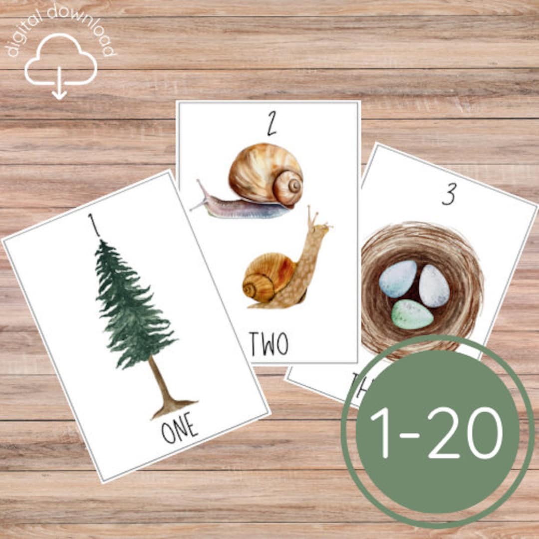 Nature Themed Number Flashcards 1-20, Homeschool Montessori Printable ...